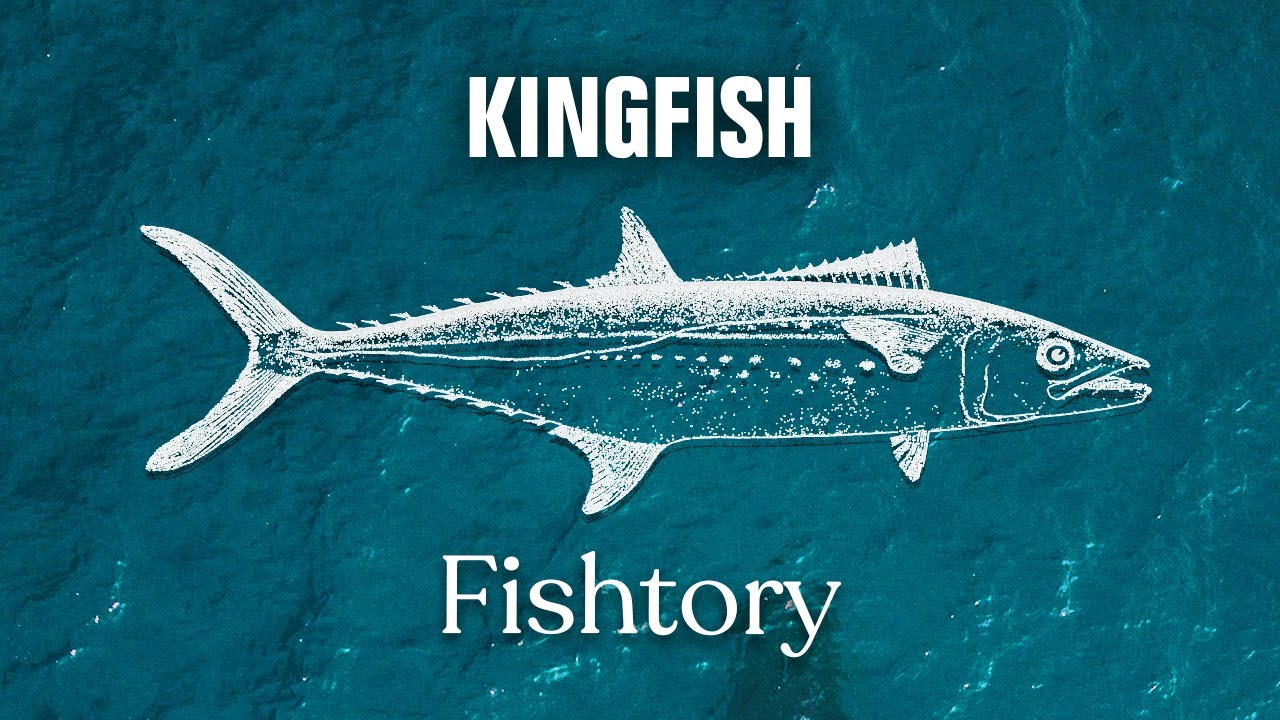 Catching Kingfish: Everything You Need To Know | Fishtory - YouTube