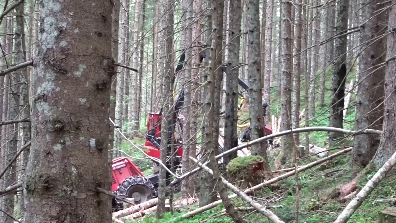 TECH4EFFECT: Harvester on steep slope traction winch supported - YouTube