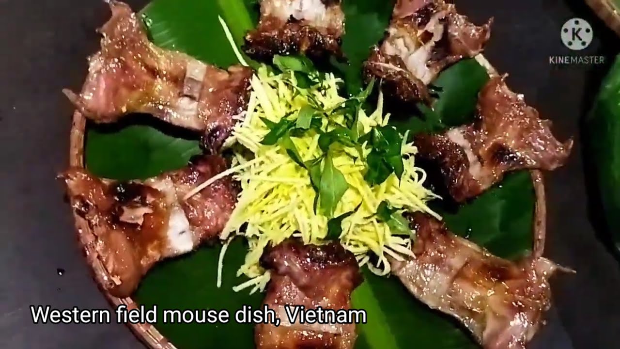 Western field mouse dish, Vietnam - YouTube