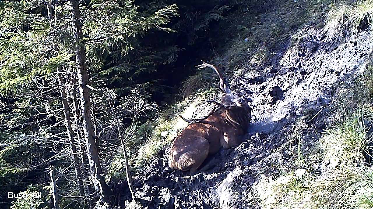 Piège Photos HD! 002 - YouTube