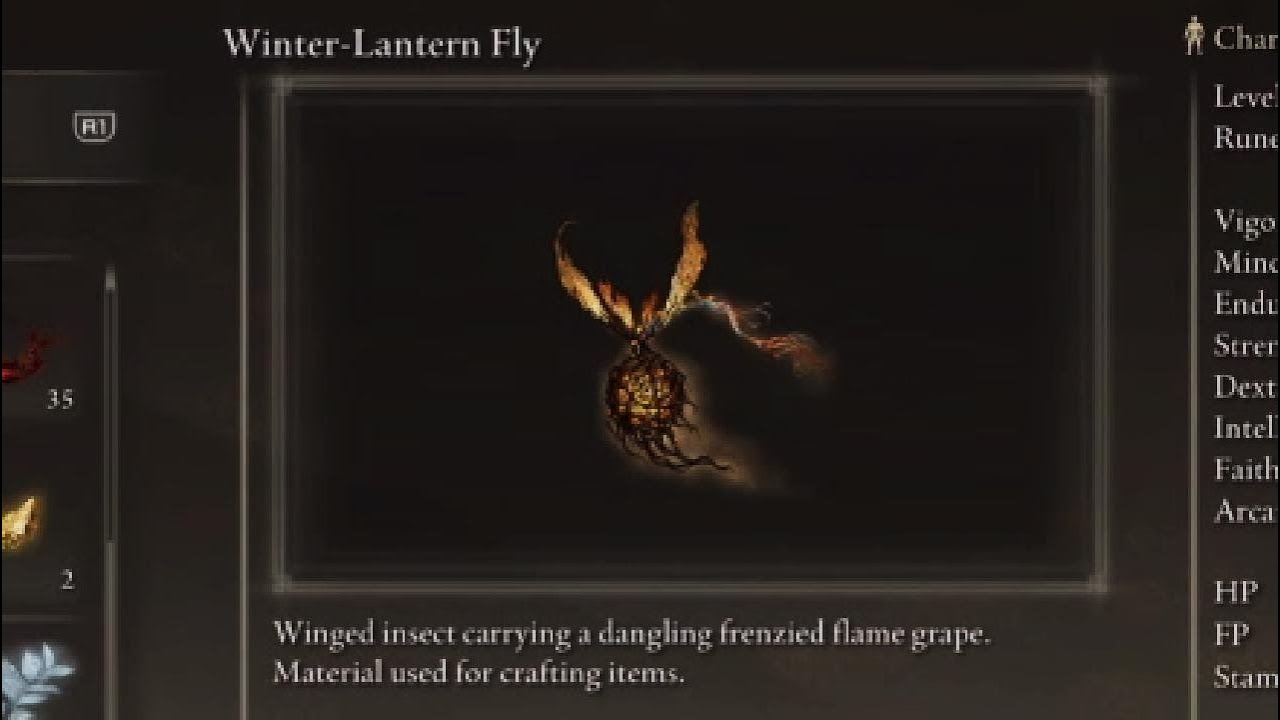 Elden Ring DLC Winter-Lantern Fly Farming Location Abyssal Woods - YouTube