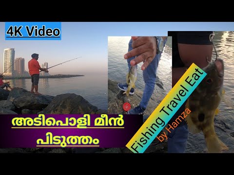 #Fishing#Naiser #4KVideo #Ajman #GoPro Fish Hunting |Catching for ...