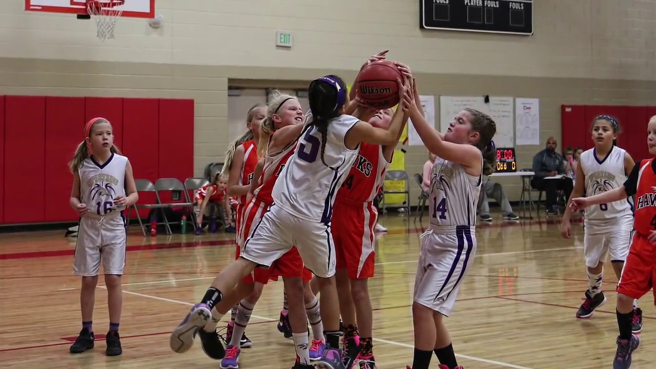 2017 Spartan Purple - AYL 4th Grade D1 - 1st Round Playoffs - YouTube