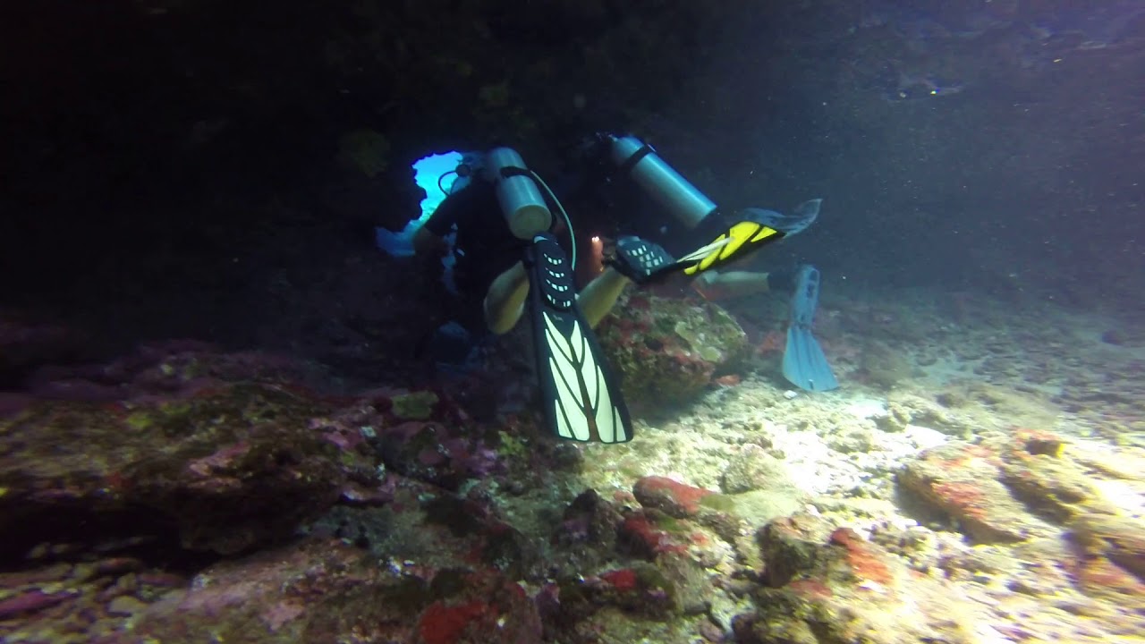 Scuba Diving Lanai: Cathedrals - YouTube