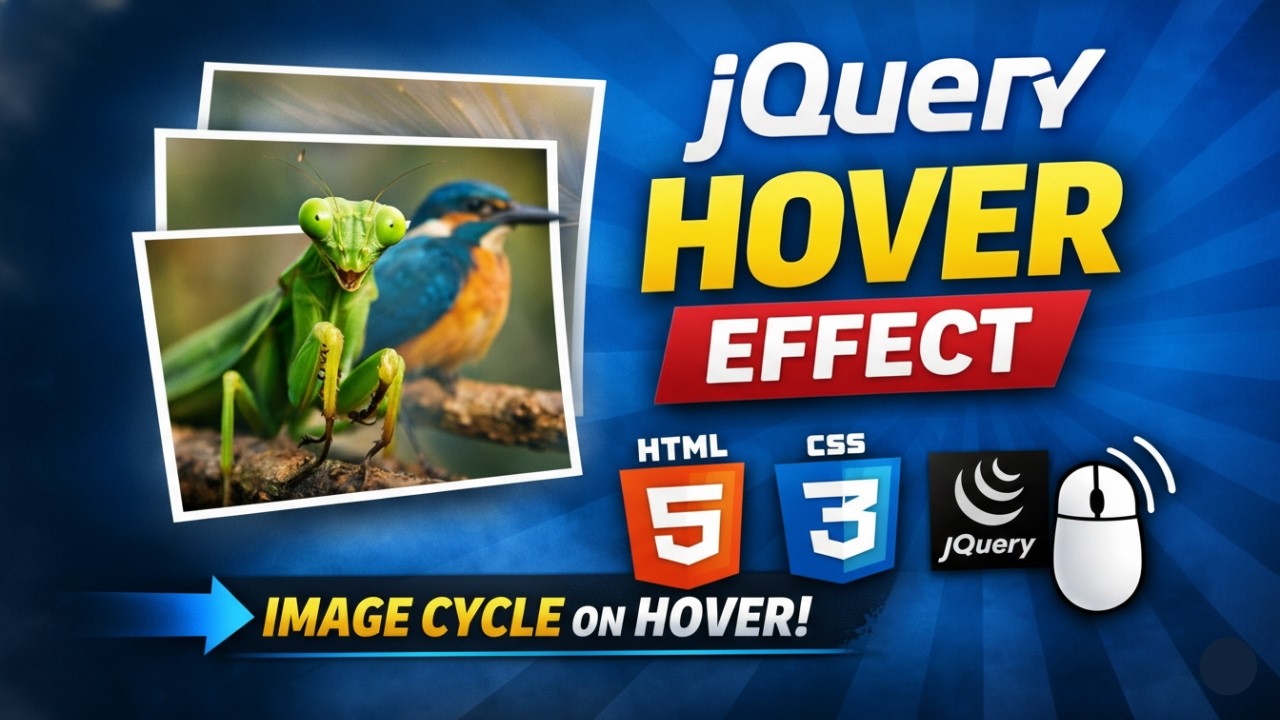 How to Create Mouse Hover Image Gallery Effect Using jQuery | Step by ...