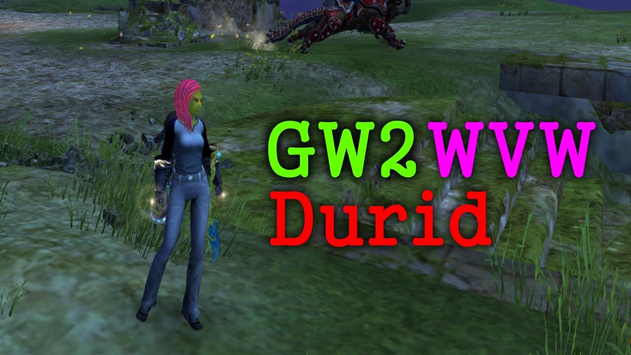 GW2 WVW - Ranger Durid - YouTube