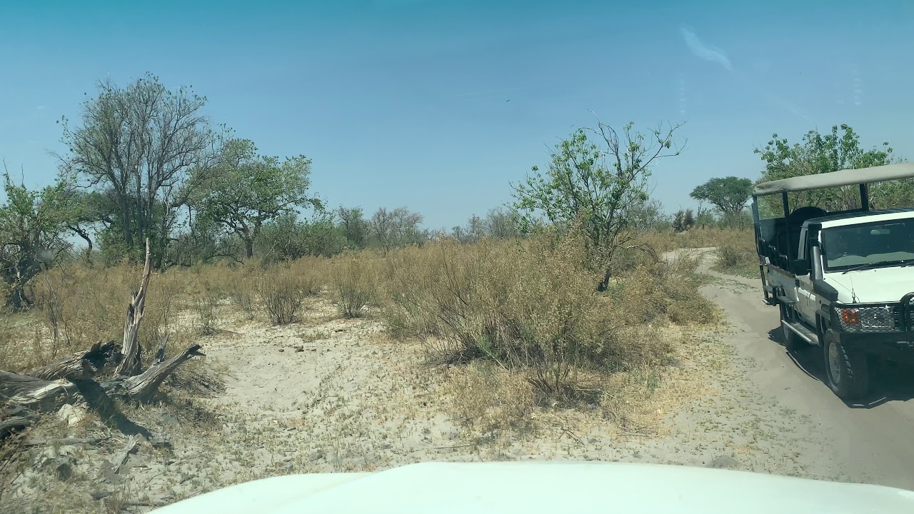 08102019 Moremi crossing third bridge! - YouTube