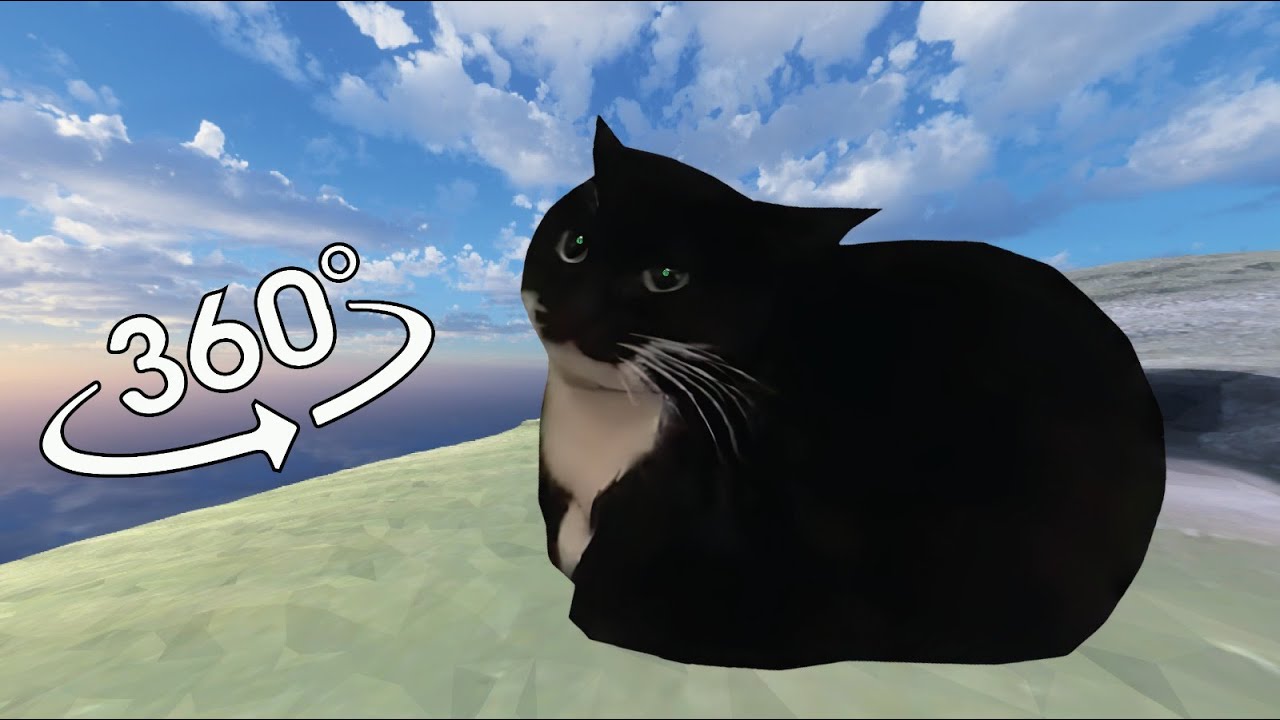 Maxwell The Cat dance at Heaven but it's 360 degree video #2 - YouTube