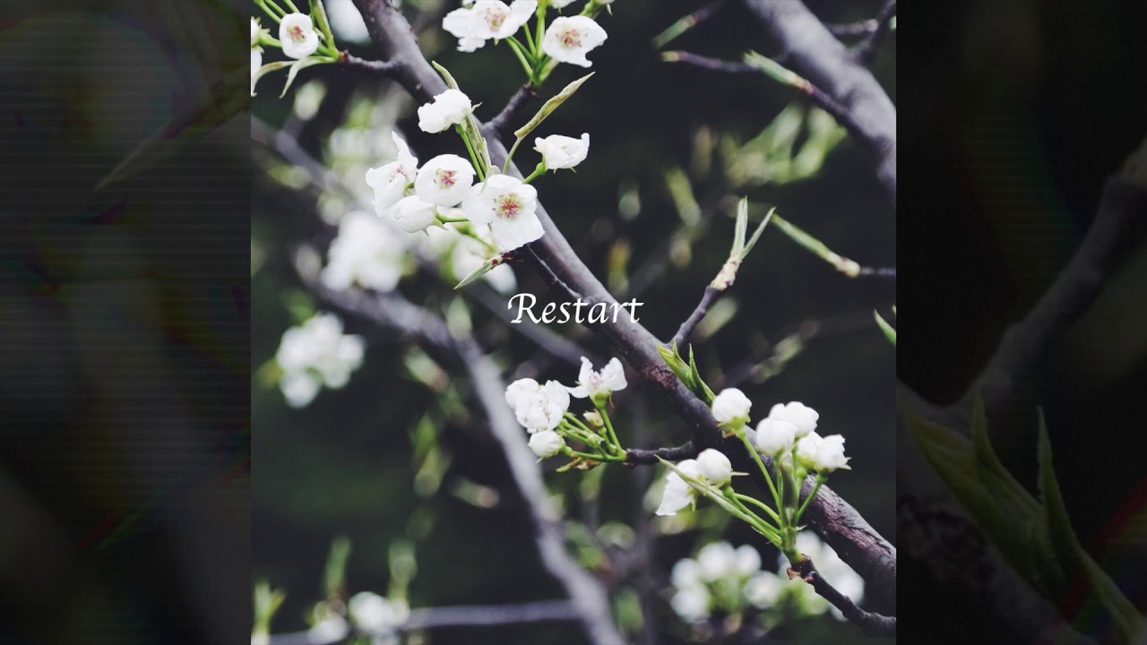 Aaron Bailey - Restart (Official Audio) - YouTube