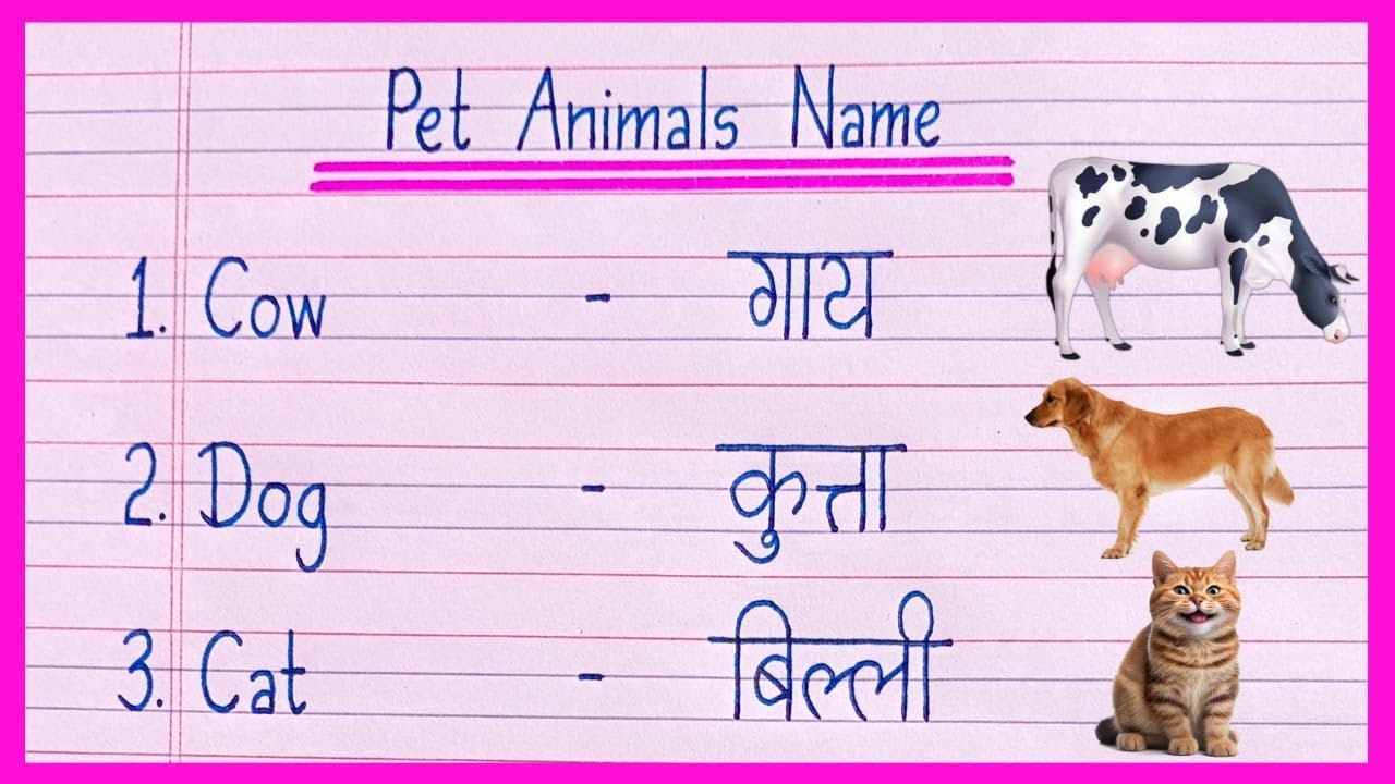 10 Pet Animals Name in English and Hindi/Pet Animals Name/पालतू जानवरों ...