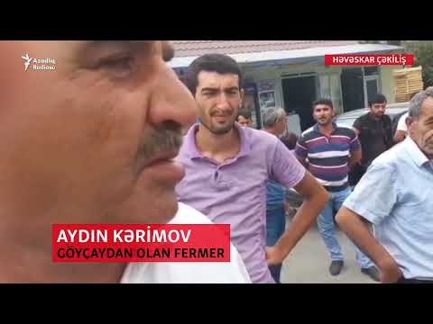 Göyçayda etiraz edən fermerlər nə tələb edirlər