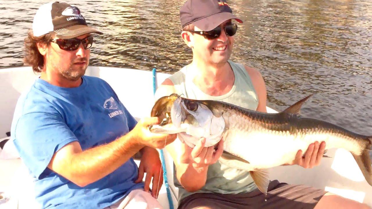 Tarpon Fishing Pre Pod Mullet Run - YouTube
