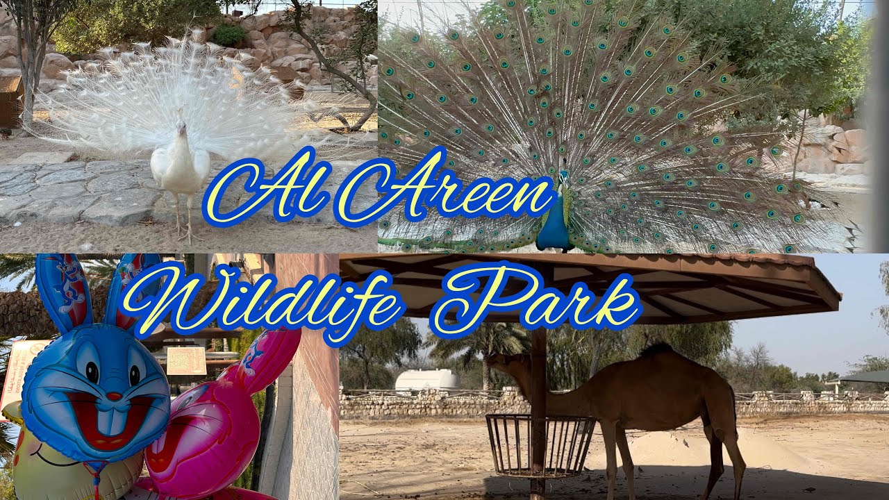 Al Areen Wildlife Park, Bahrain || Our Zone || #touristplace #bahrain # ...