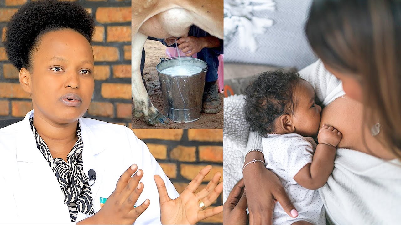 INGARUKA MBI zo guha UMWANA wawe amata y’inka😳🤭impamvu ugomba kubireka ...