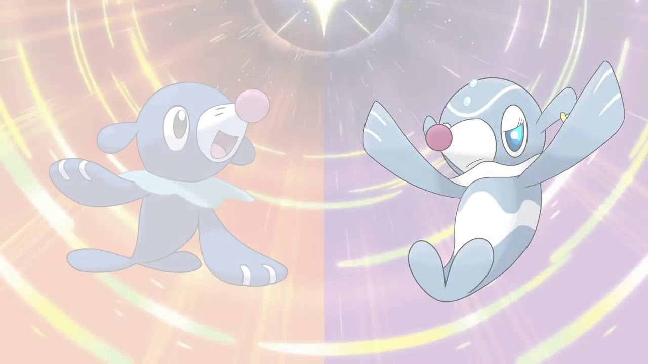 Popplio Has a new form And Female Version !! In PokéMon Game Ultra Sun ...