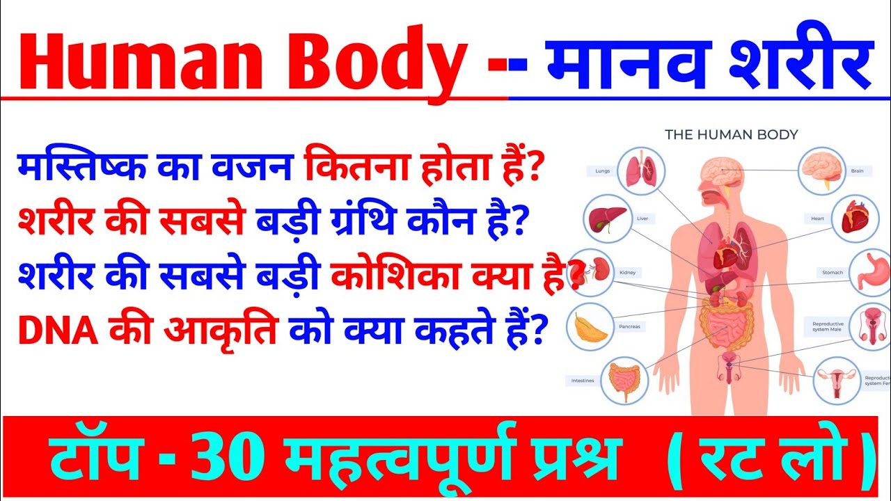 [Human body ] Biology GK || Human body system || Scienc gk || question ...