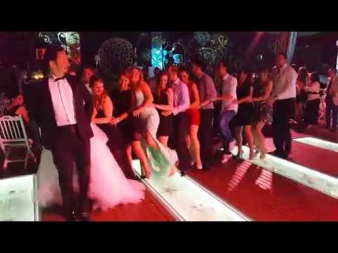 PENGUEN DANSI -  Penguen Düğün Dansı  Wedding Penguin dance Zeynep-Arda**