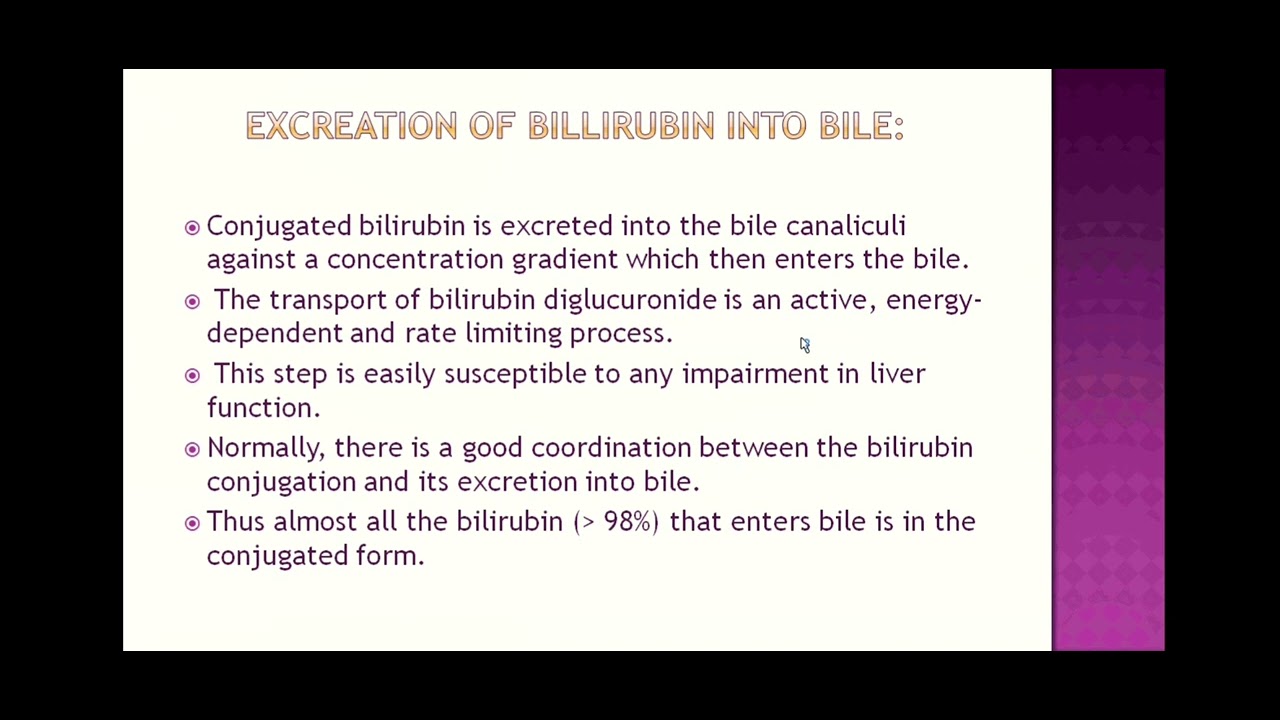SJCTNC-D.LEEMA ROSE MARY-19PBC31-CLINICAL BIOCHEMISTRY-UNIT 2-HEME ...