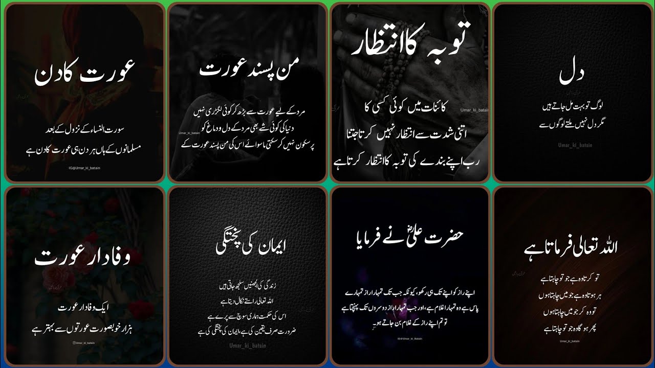 Best Islamic quotes for WhatsApp status | Islamic dp | golden words ...