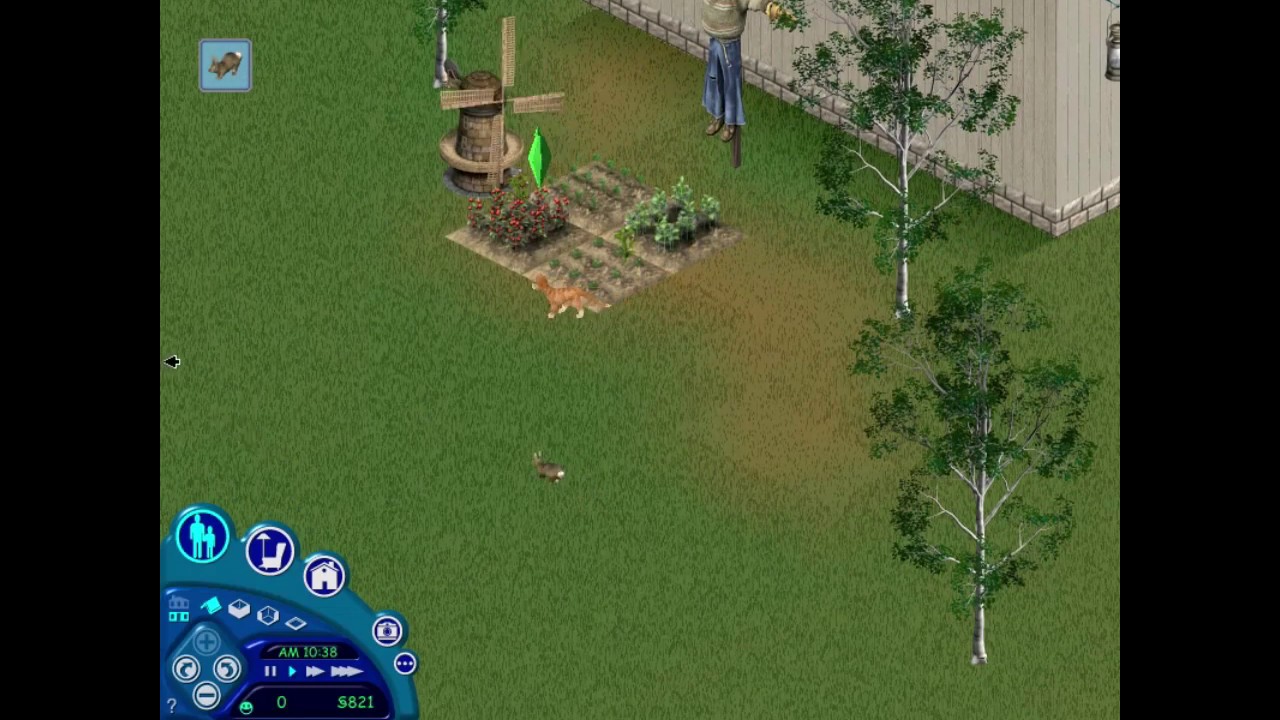 The Sims 1 - Cat Hunting Bunny - YouTube