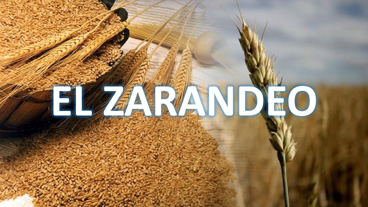 El zarandeo - YouTube