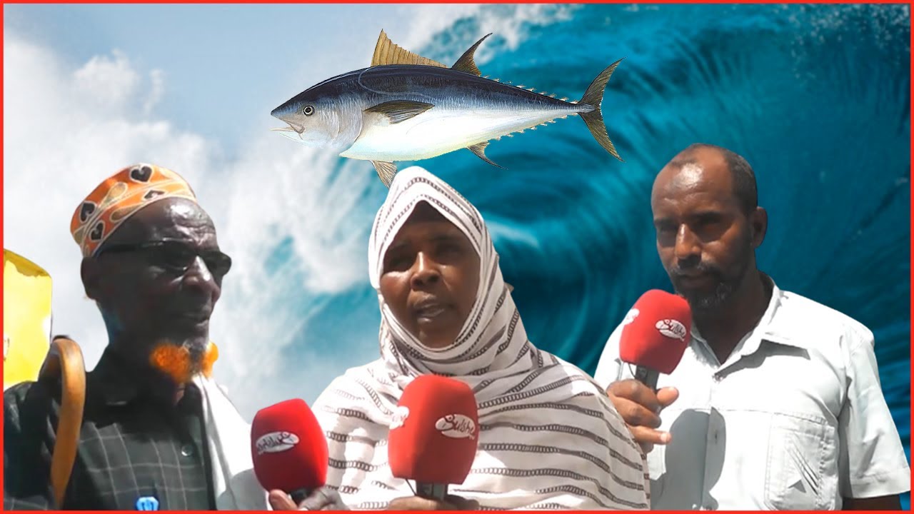 Berbera Kaluunka Oo Qaaliyoobay Iyo Sababta Keentay - YouTube