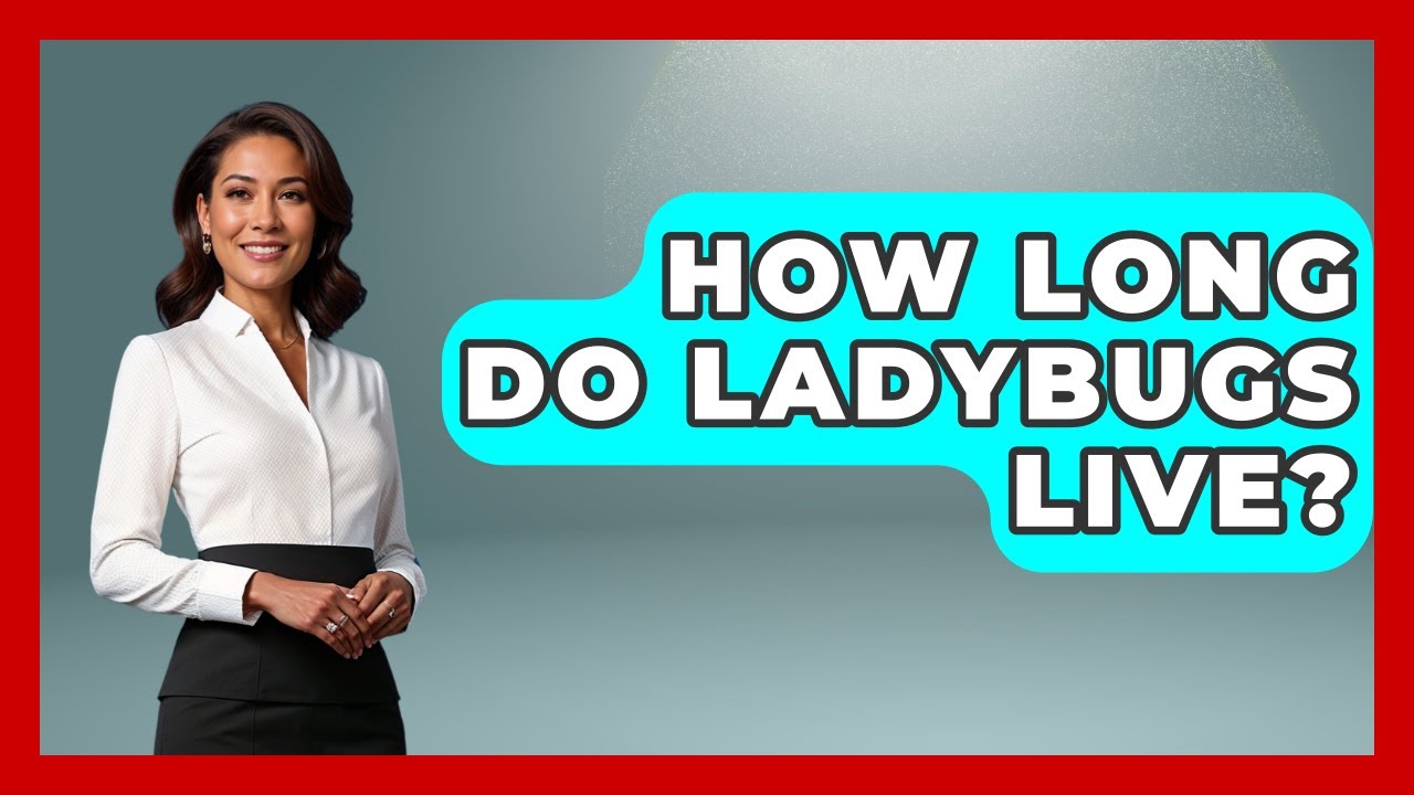 How Long Do Ladybugs Live? - Exploring Campgrounds - YouTube