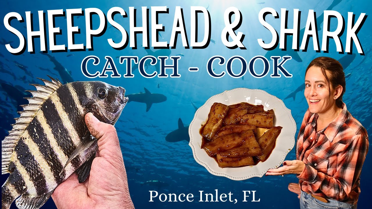 Fishing With Fleas Shark Catch and Cook Florida Saltwater Fishing For ...