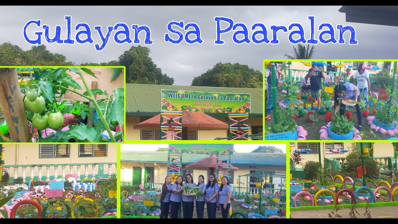 gulayan sa paaralan ng Manghinao elementary school #gulayan # ...