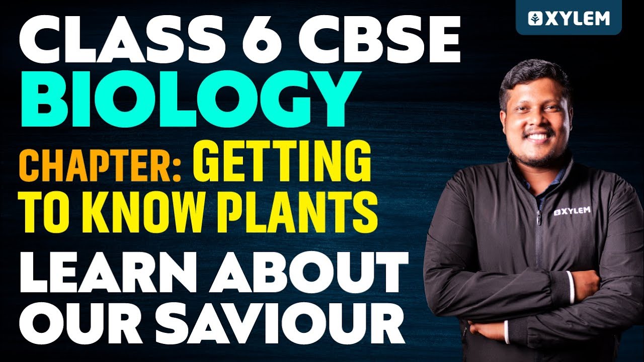 Class 6 CBSE Biology | Chapter:Getting to know plants. "Learn about our ...