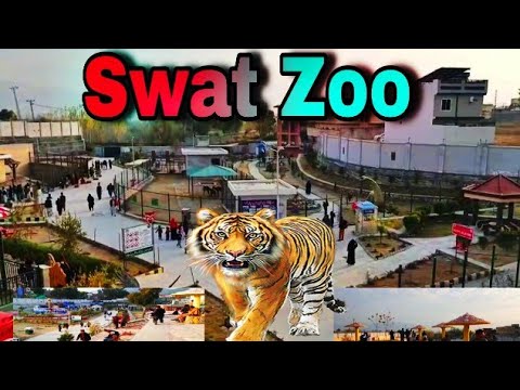 Swat Zoo || Township Swat Zoo || ValleySwat Vlog Kpk Mengora pak 2025 ...