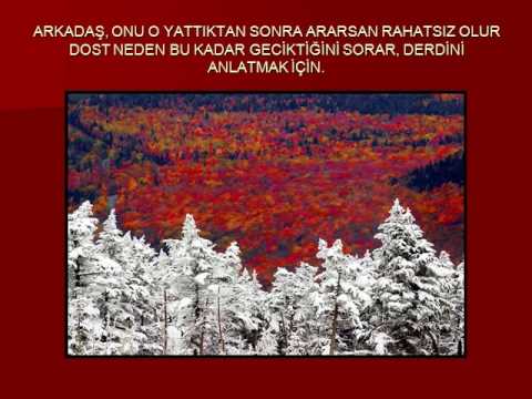 SenUyurken // Dost Dediğin
