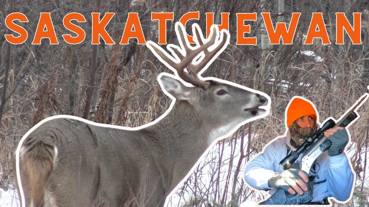Rutting Canadian Whitetails! | Incredible Footage and Vocals! - YouTube