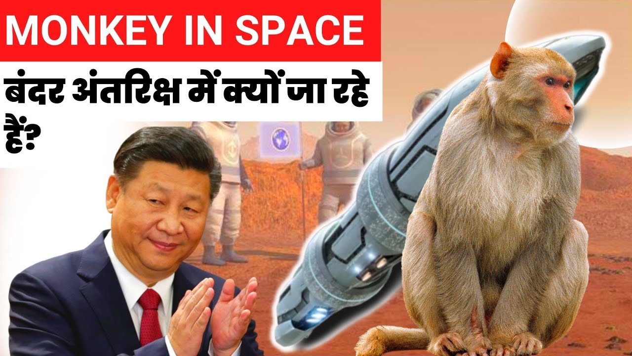 Why Monkey was transported to space | Space station | animal | China ...