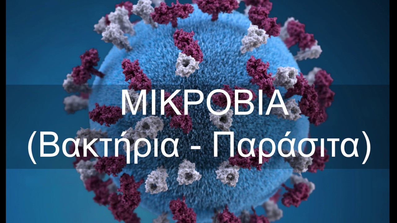 Μικρόβια - βακτήρια - παράσιτα - τι είναι και πώς αντιμετωπίζονται ...
