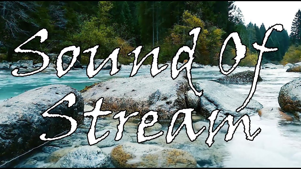 The sound of #Stream 2 | The voice of nature | Nature With Music ...