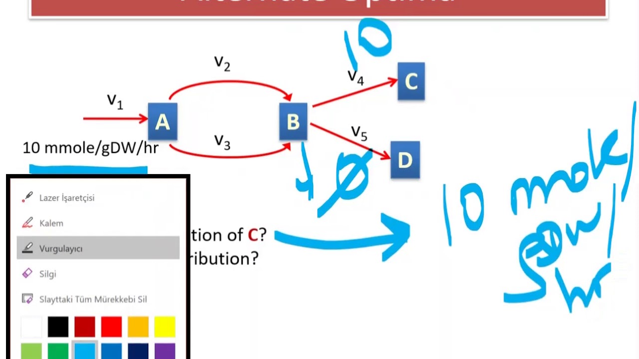 Lecture 5.1 - Alternate Optima Definition | Genome Scale Metabolic ...
