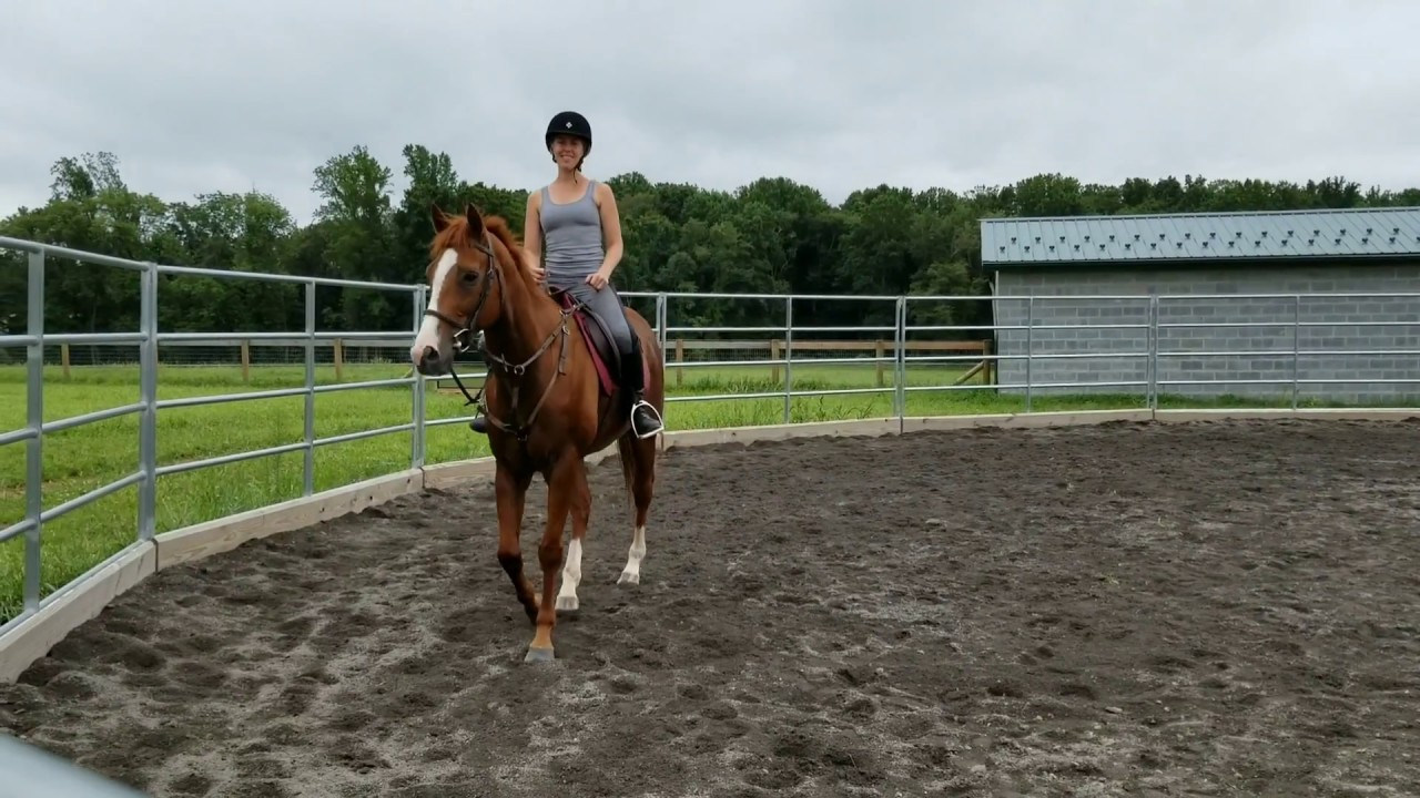 Simply Classic, first ride off the track - YouTube