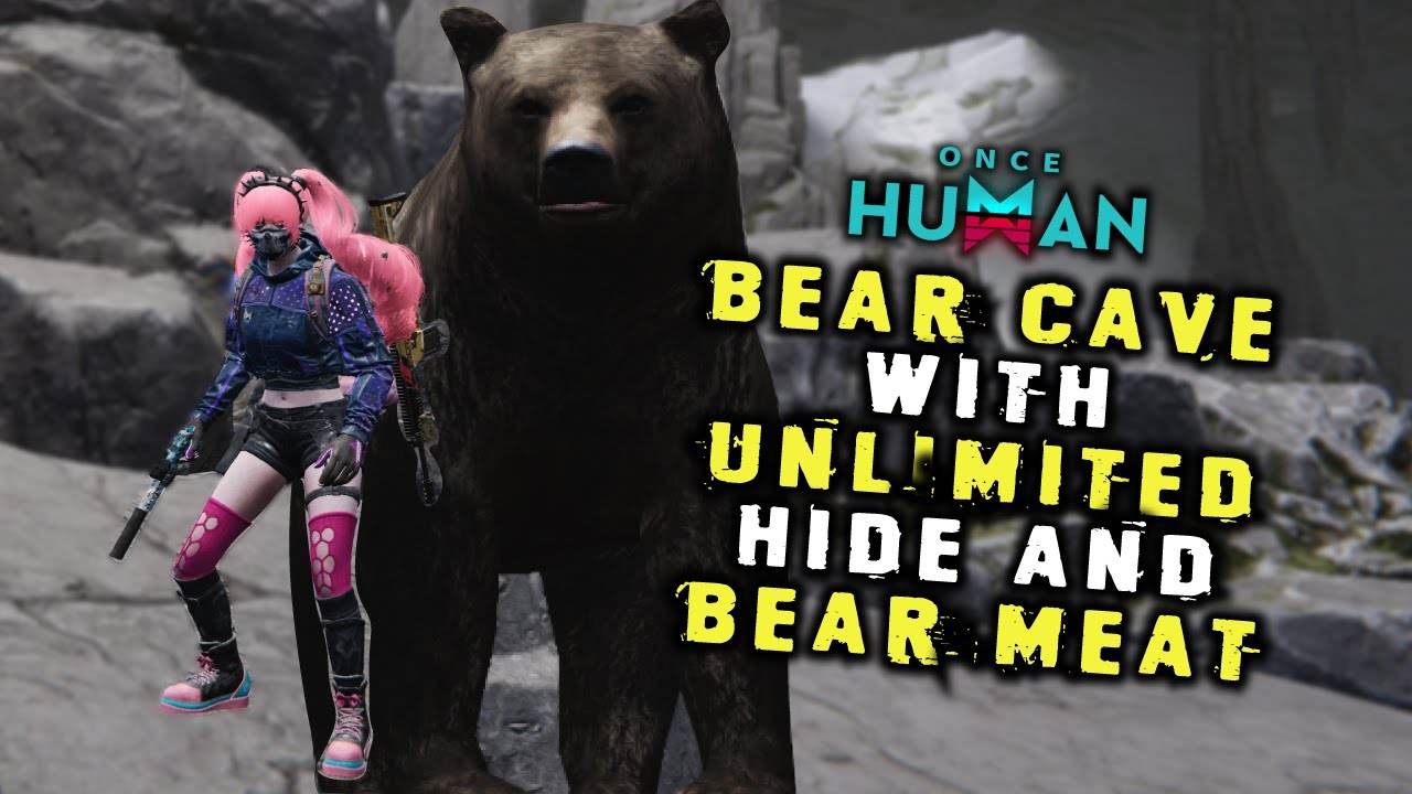 Once Human Bear Cave Guide: Unlimited Hide & Bear Meat Farming! - YouTube