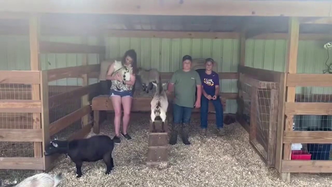 A Visit to the Farm - YouTube