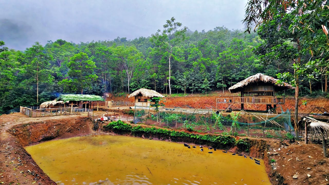 Full video: Build a beautiful farm in the midst of majestic natural ...