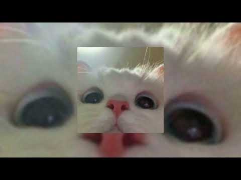 Стас Костюшкин - Женщина, я не танцую (s l o w e d)