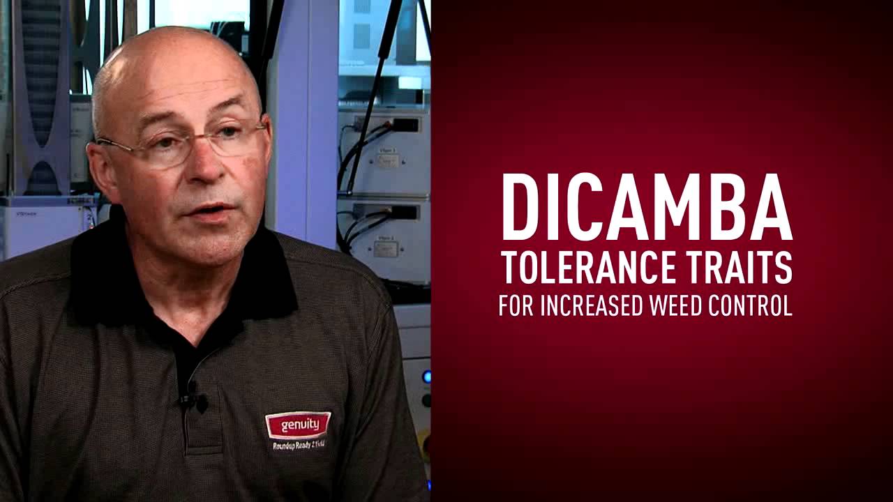 Fields and Yields - Dr. Robb Fraley on the Future of Soybean Seed ...