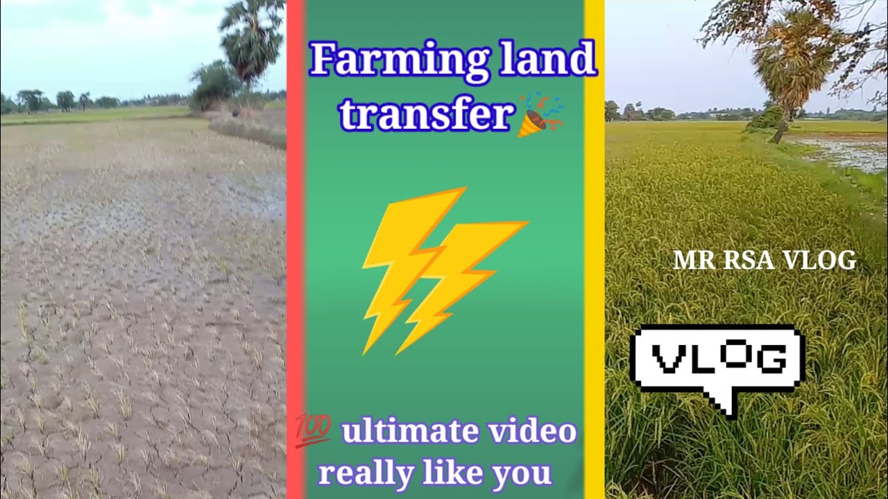 farming land transformation - YouTube