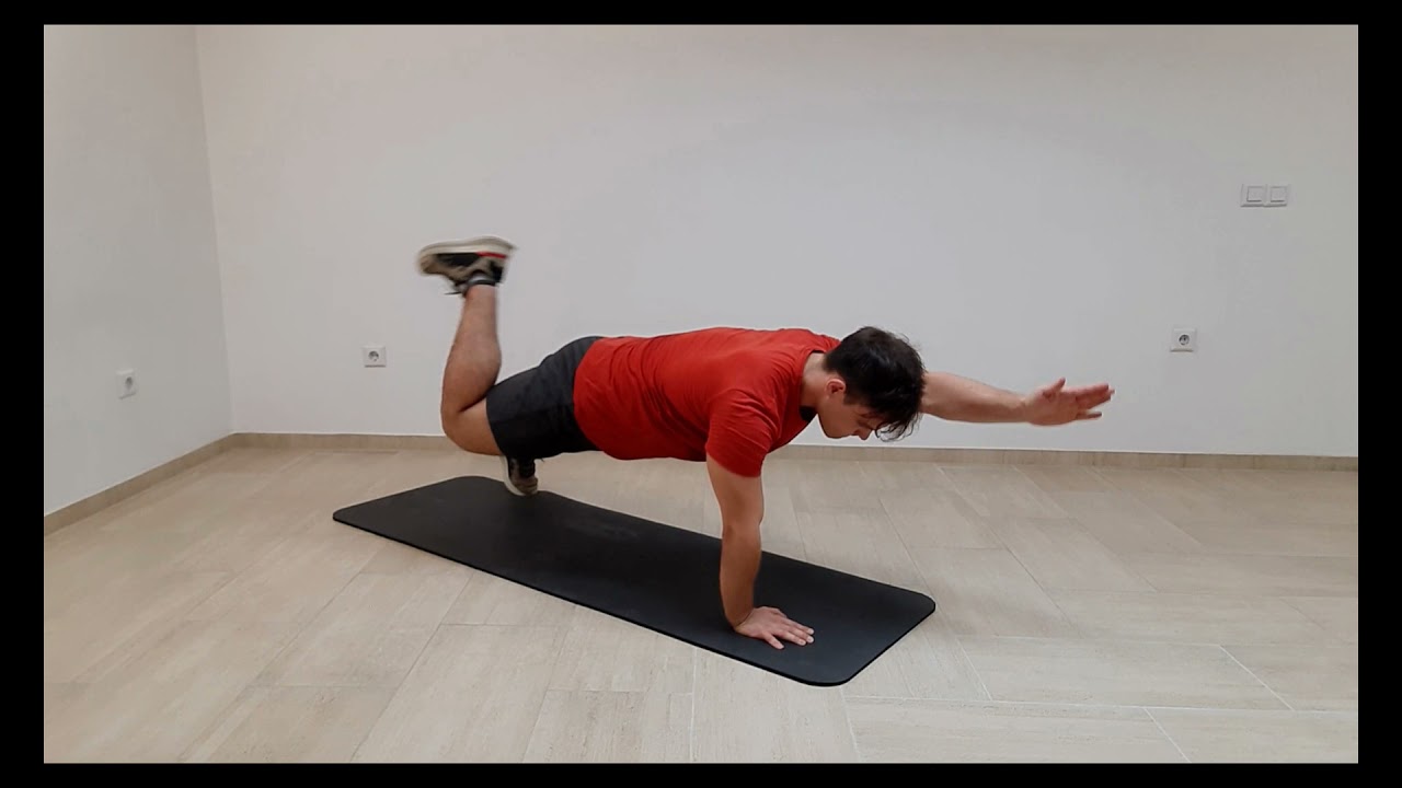 Hand Plank - Bird Dog - YouTube