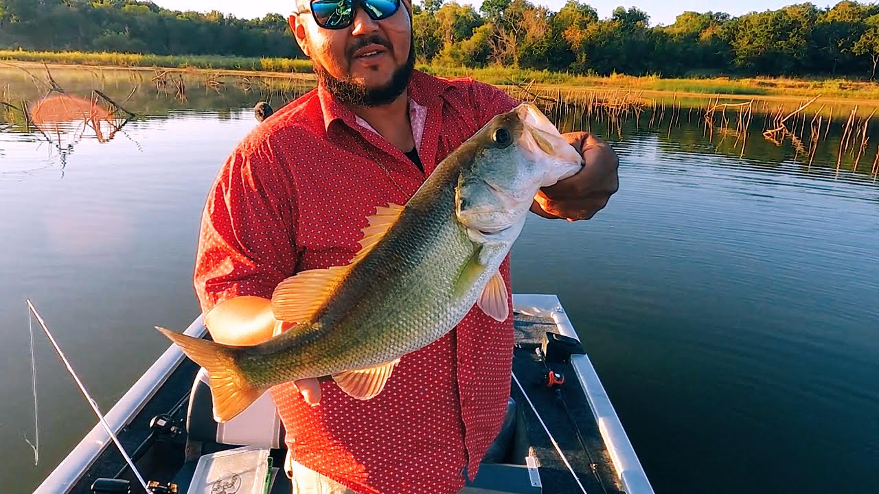 Muchas CAPTURAS En Uno De Los Mejores Lagos En TEXAS // PESCA de ...