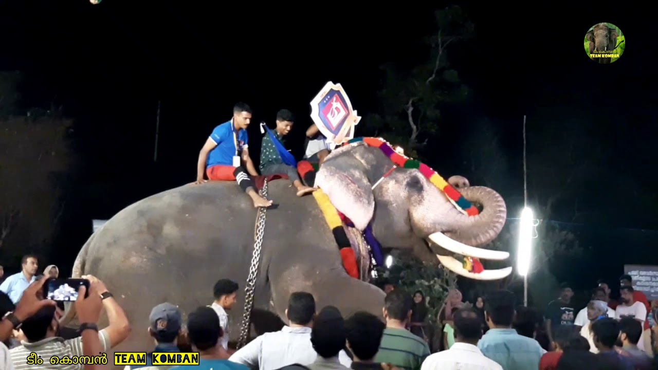 Manathala Nercha 2020 മണത്തല ചന്ദനകുടം നേർച്ച 2020 | Vembanadu Arjunan ...