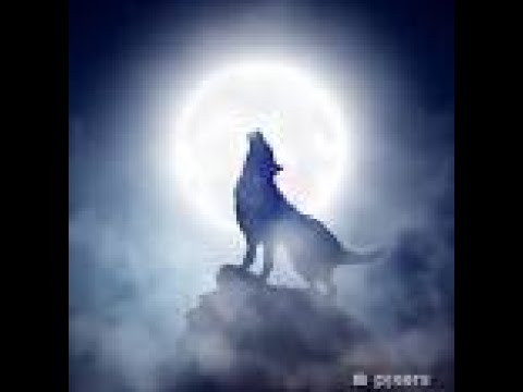 Sultan Alparslan  #malazgirt1071#malazgirt #vatan #bayrak #kurulusosman    @UyanisBuyukSelcukluTRT