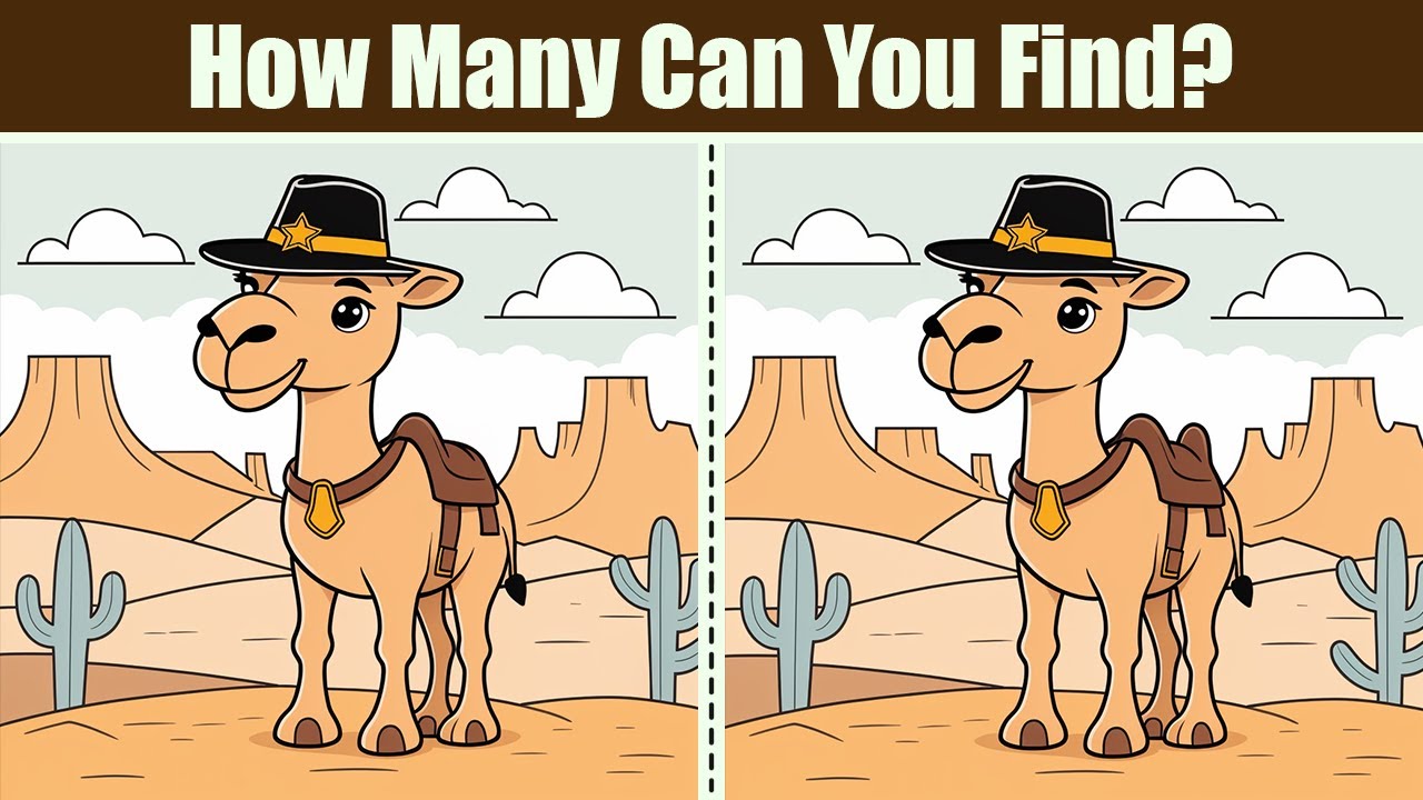 Spot The Difference : How Many Can You Find? | Find The Difference #211 ...