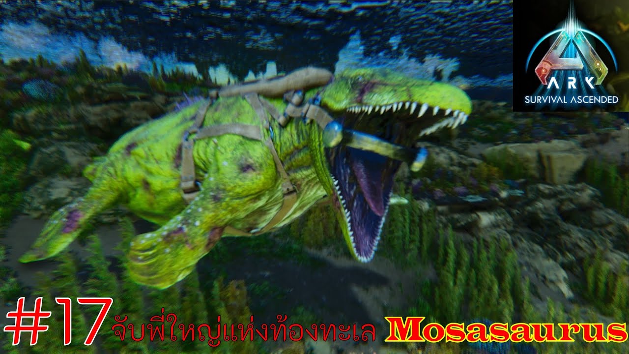ark survival ascended EP.17 จับพี่ใหญ่แห่งท้องทะเล Mosasaurus - YouTube